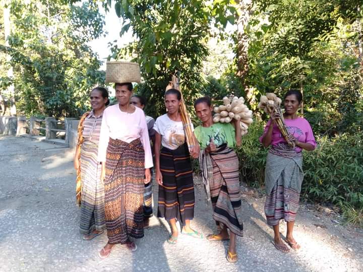 North Central Timor 2019